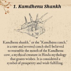The Sacred Shankh: Types, Importance, and Significance in Hinduism ...
