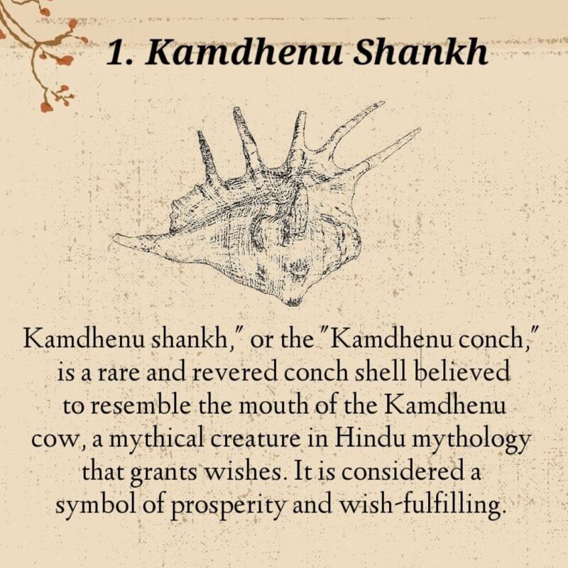 The Sacred Shankh: Types, Importance, and Significance in Hinduism ...
