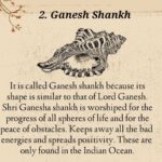 The Sacred Shankh: Types, Importance, and Significance in Hinduism ...