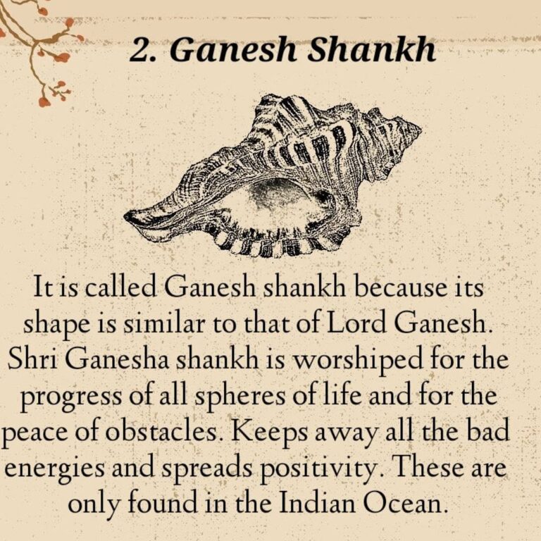 The Sacred Shankh: Types, Importance, and Significance in Hinduism ...