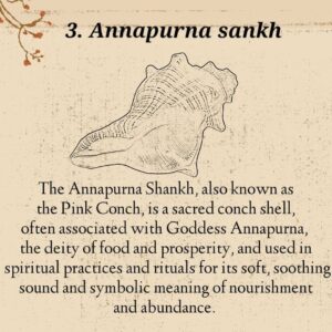 The Sacred Shankh: Types, Importance, and Significance in Hinduism ...