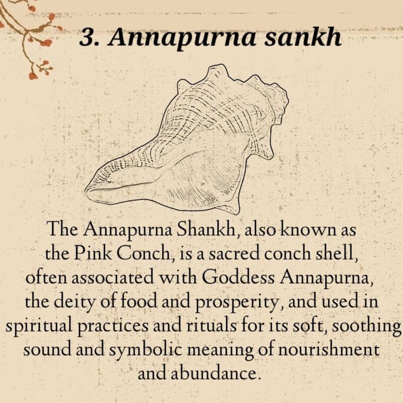 The Sacred Shankh: Types, Importance, and Significance in Hinduism ...