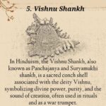 The Sacred Shankh: Types, Importance, and Significance in Hinduism ...