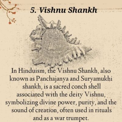 The Sacred Shankh: Types, Importance, and Significance in Hinduism ...