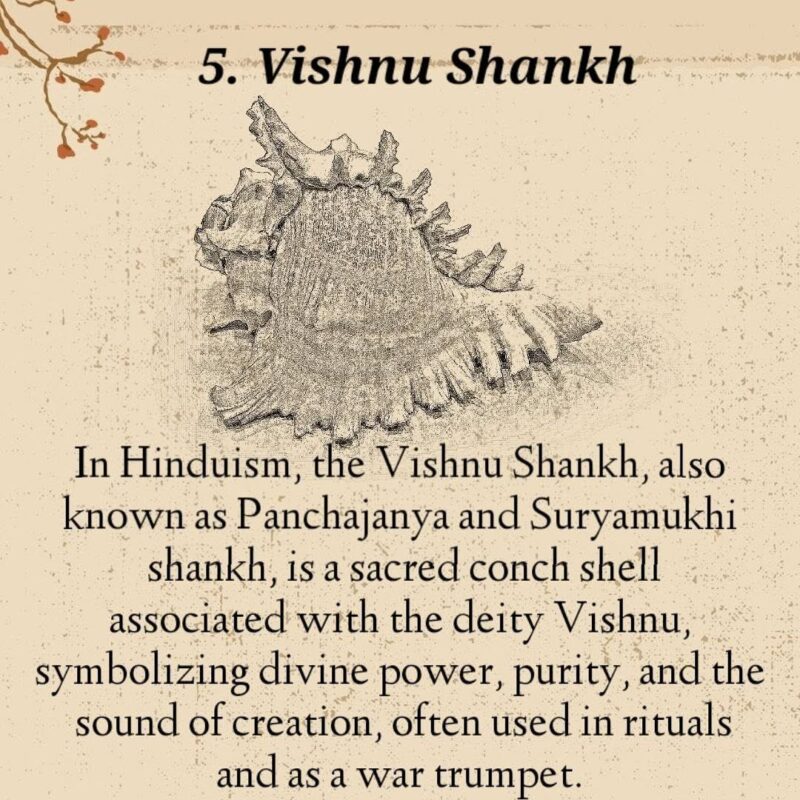 The Sacred Shankh: Types, Importance, and Significance in Hinduism ...