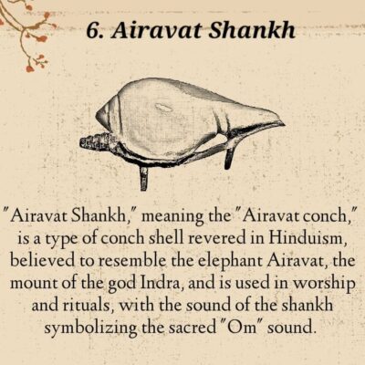 The Sacred Shankh: Types, Importance, and Significance in Hinduism ...